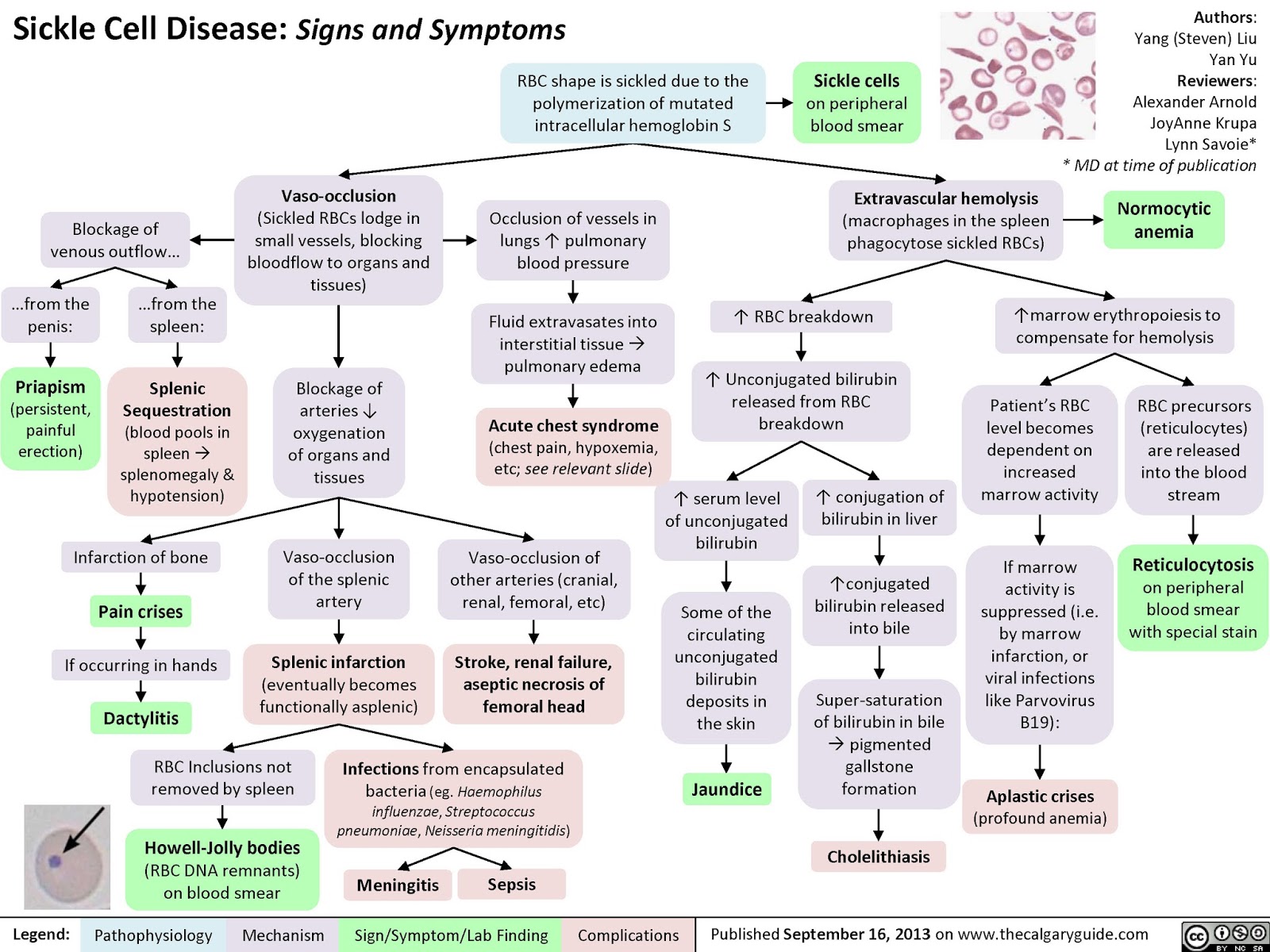 Paediatric Emergency Medicine