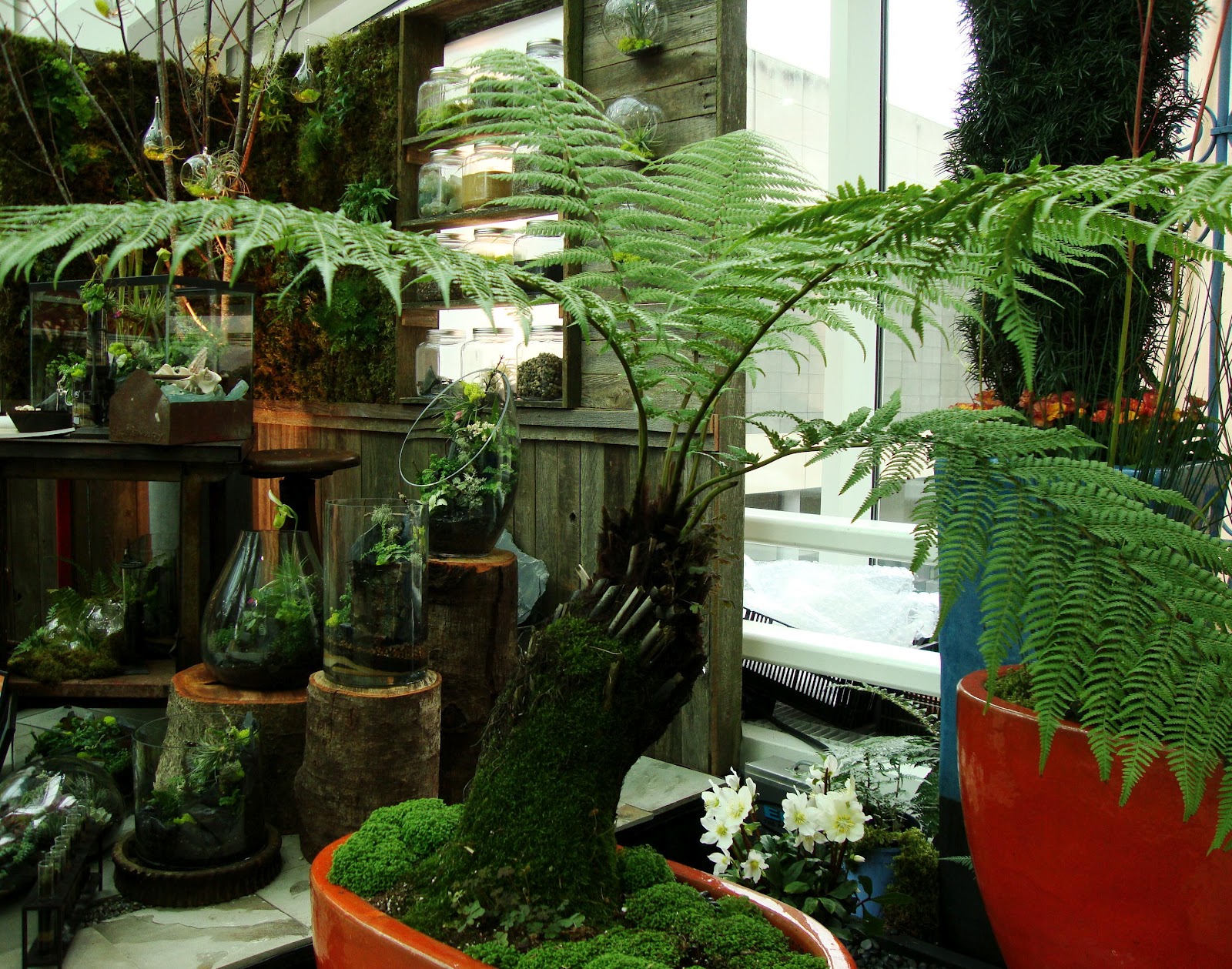 danger garden: The Northwest Flower & Garden Show 2012, part one…ideas!