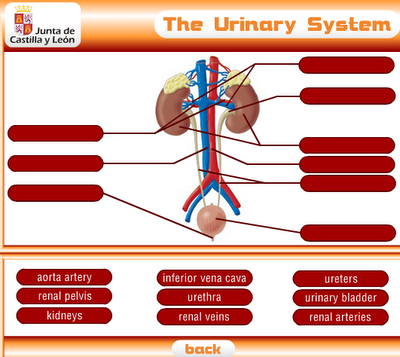Gazpacho is not tomato soup: October 2012