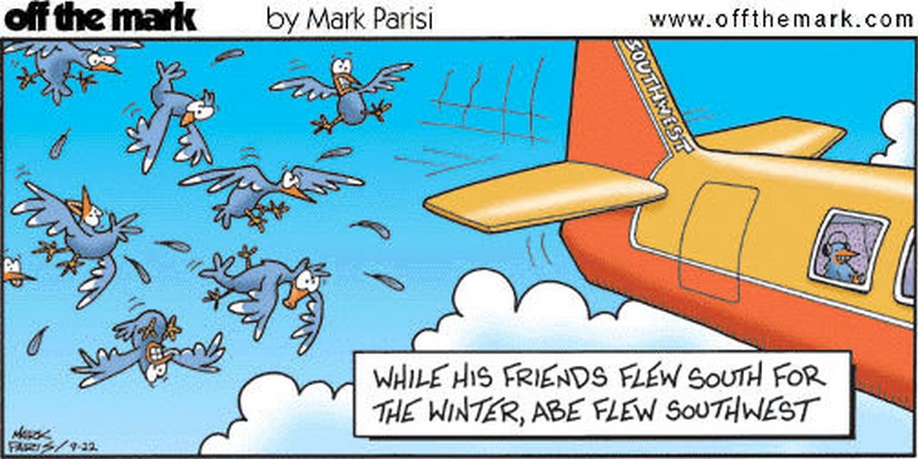 Chuck's Fun Page 2: Seven single-panel, animal cartoons