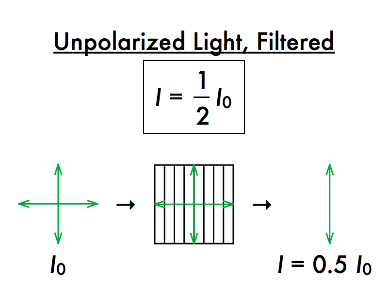 P-dog's blog: boring but important: Online reading assignment: polarization