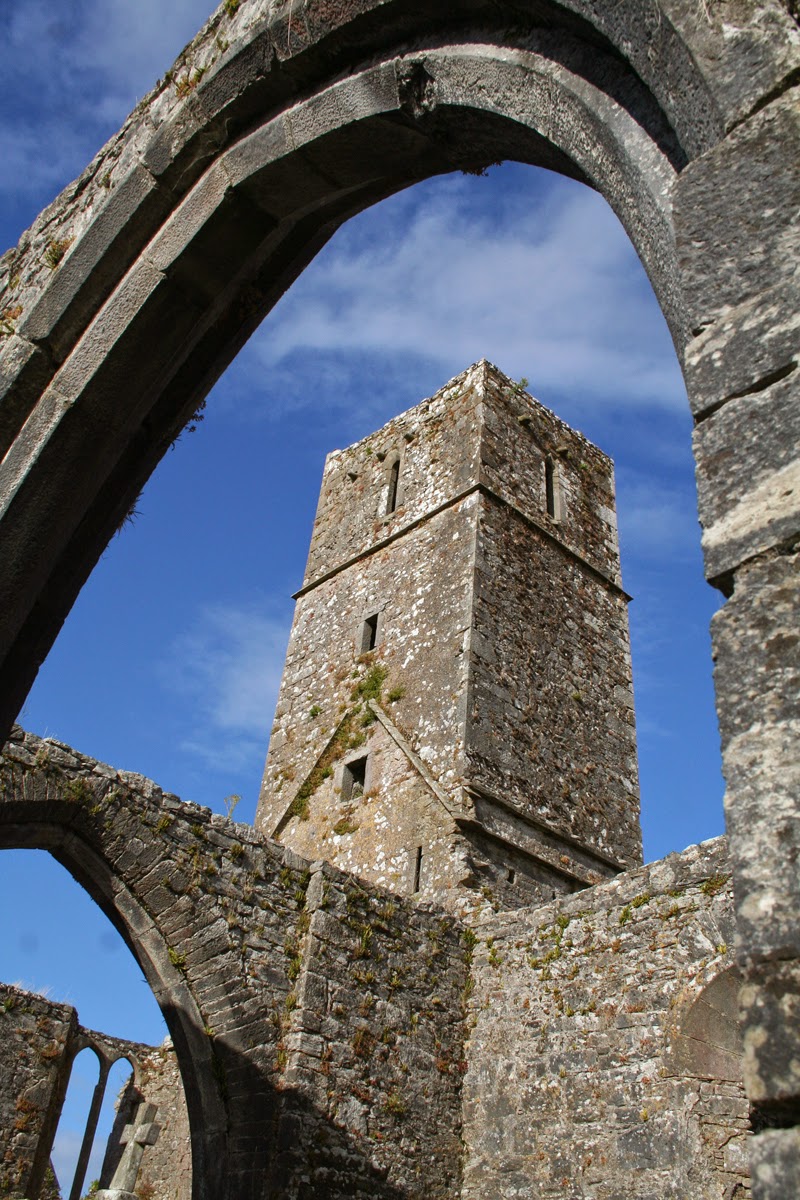 Líníocht Blog - blog of J G O'Donoghue: Kilcrea Abbey & Castle