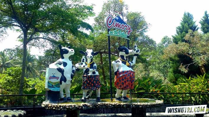Ketemu Sapi di Cimory on the Valley - wisnutri.com
