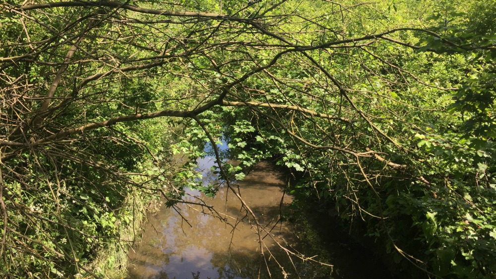 London underfoot: Hillingdon Trail 2: West Ruislip - Harefield ...