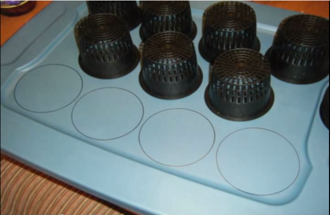 Hydroponic Passion: DIY Deep Water Culture DWC System