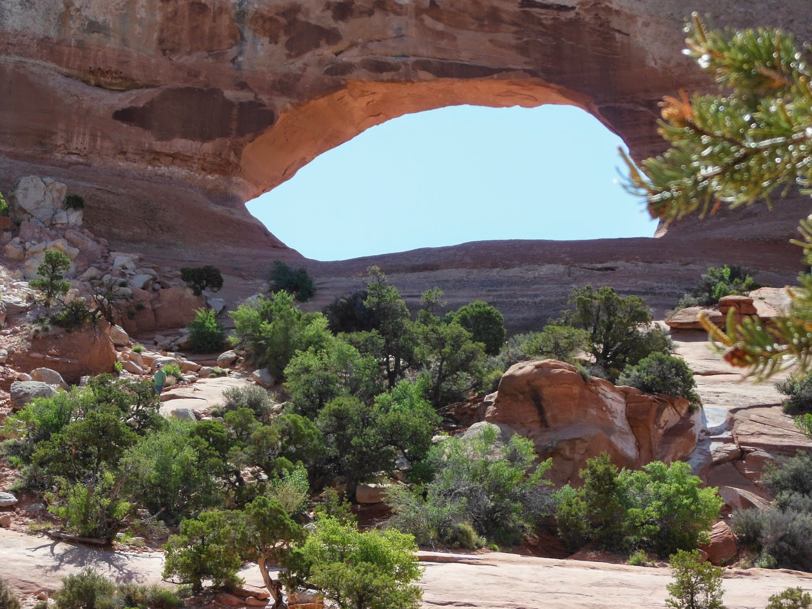 Sedona Hiker: Sedona Hiker Road Trip: Monument Valley, Cedar Mesa ...