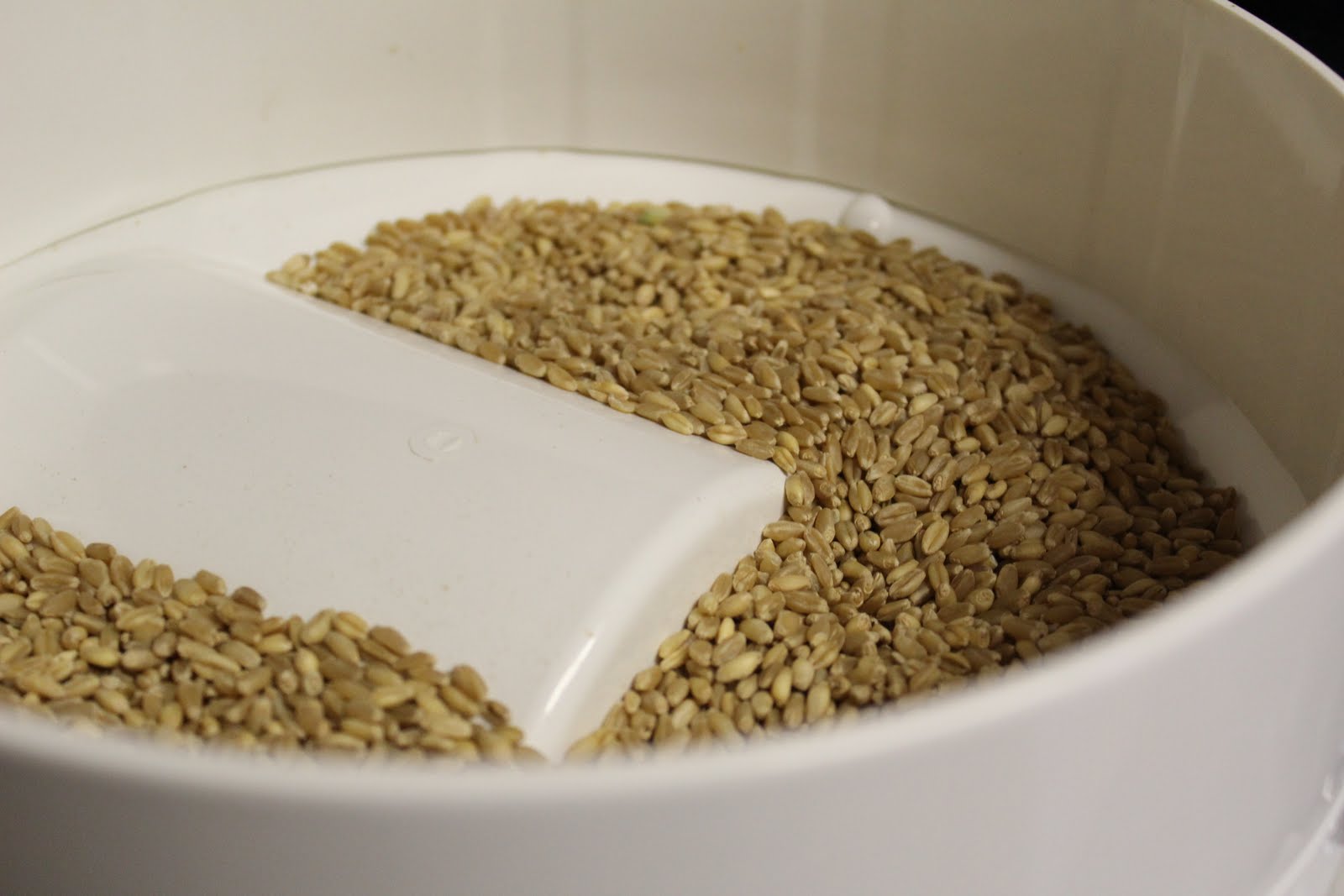 Homestead Roots: NutriMill Wheat Mill for fresh ground wheat at home