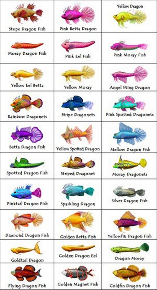 Tapfish 101: Dragonfish