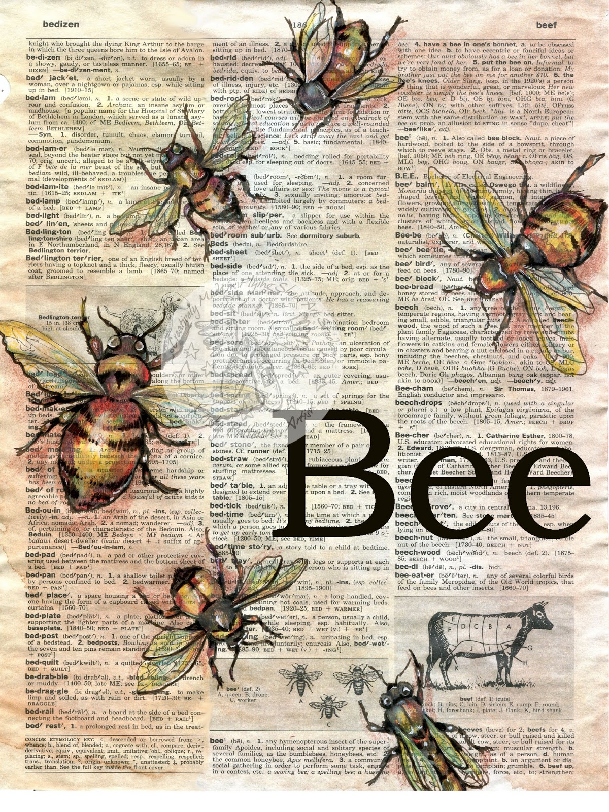 BEE ON LARGER BOOK PAGE