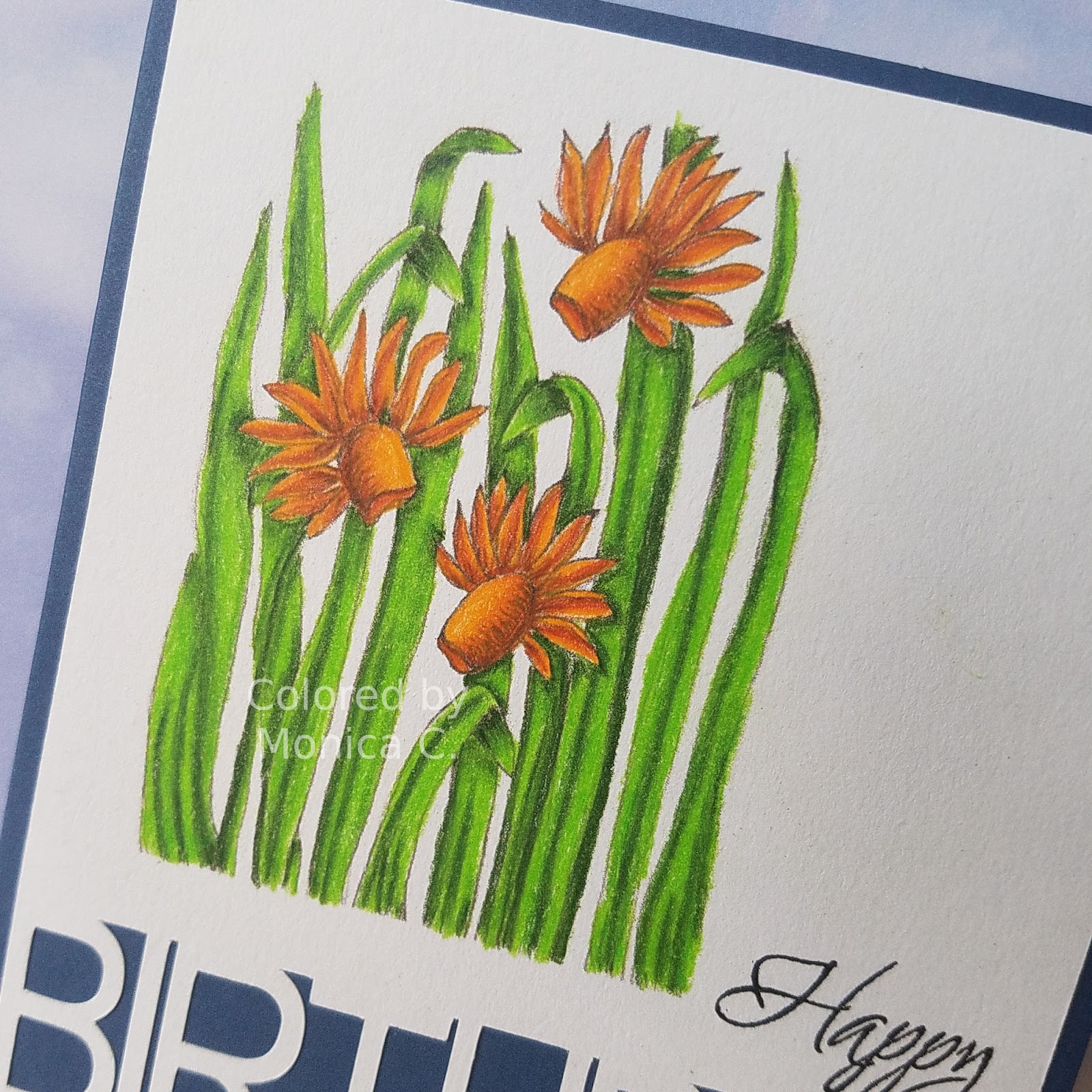 Fancy Flowers - Sunshine Creativity