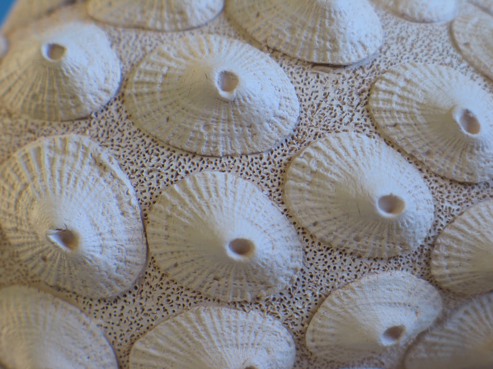 Rachel Dorn Ceramic Sculpture: Layering Underglaze