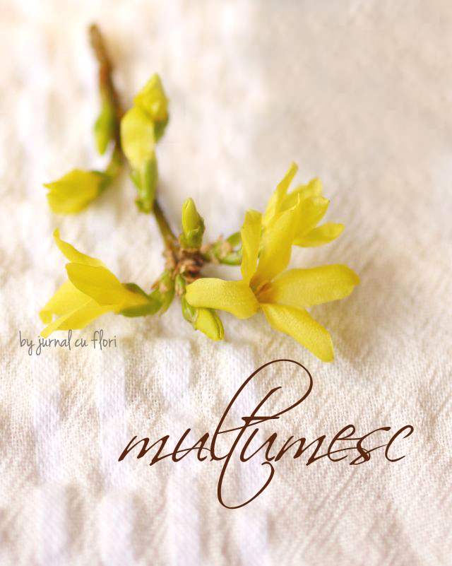 Jurnal cu flori: Jurnal de multumire (1)