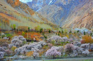 World Beautifull Places: Beautiful Places of Hunza Pakistan