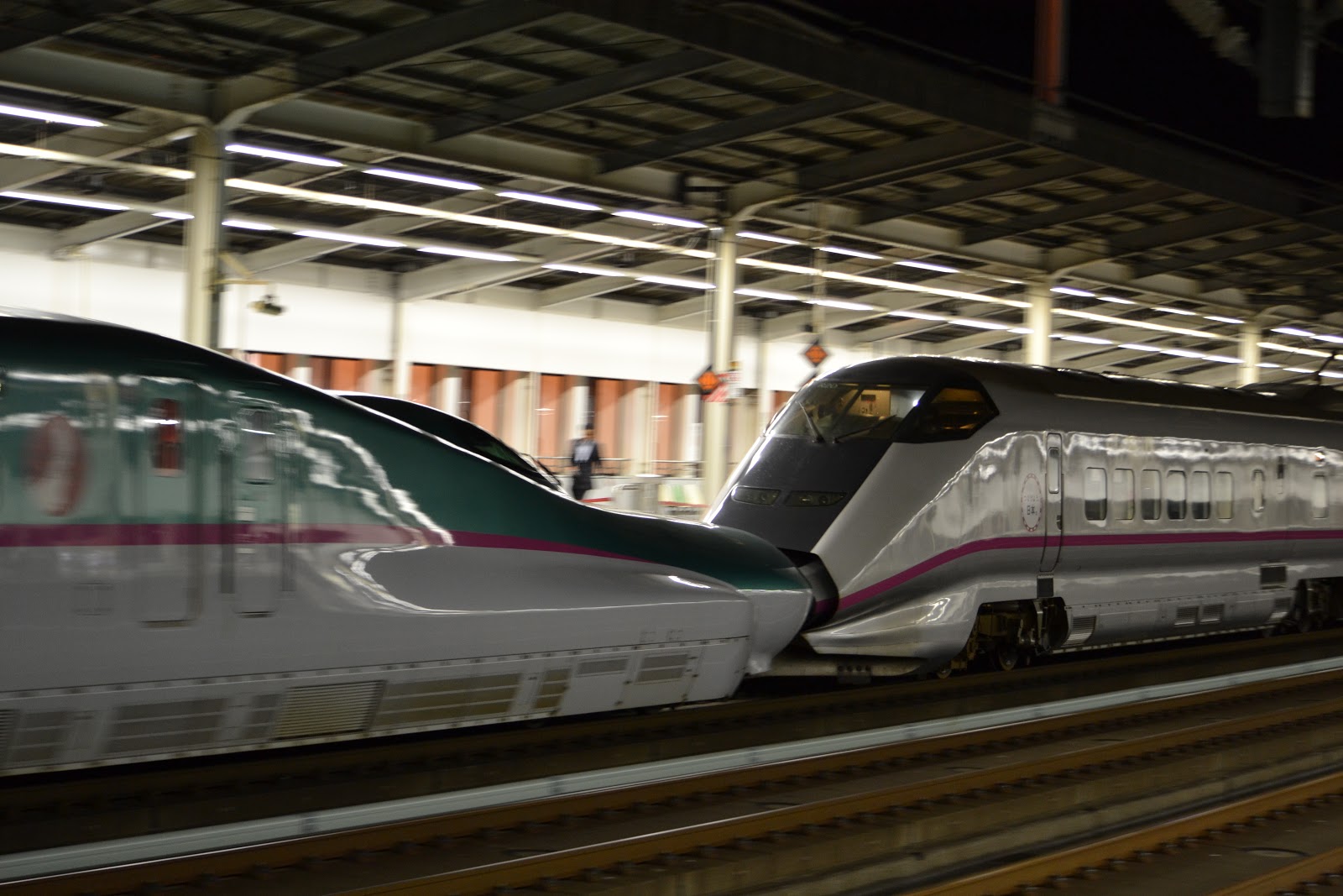 Ne drži me mjesto: Japan - 10. dan - Nikko