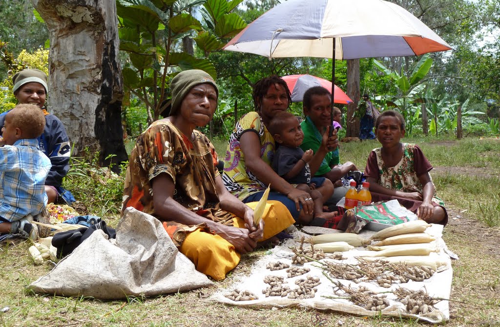 bugs and bananas: 2011 Katagu Games