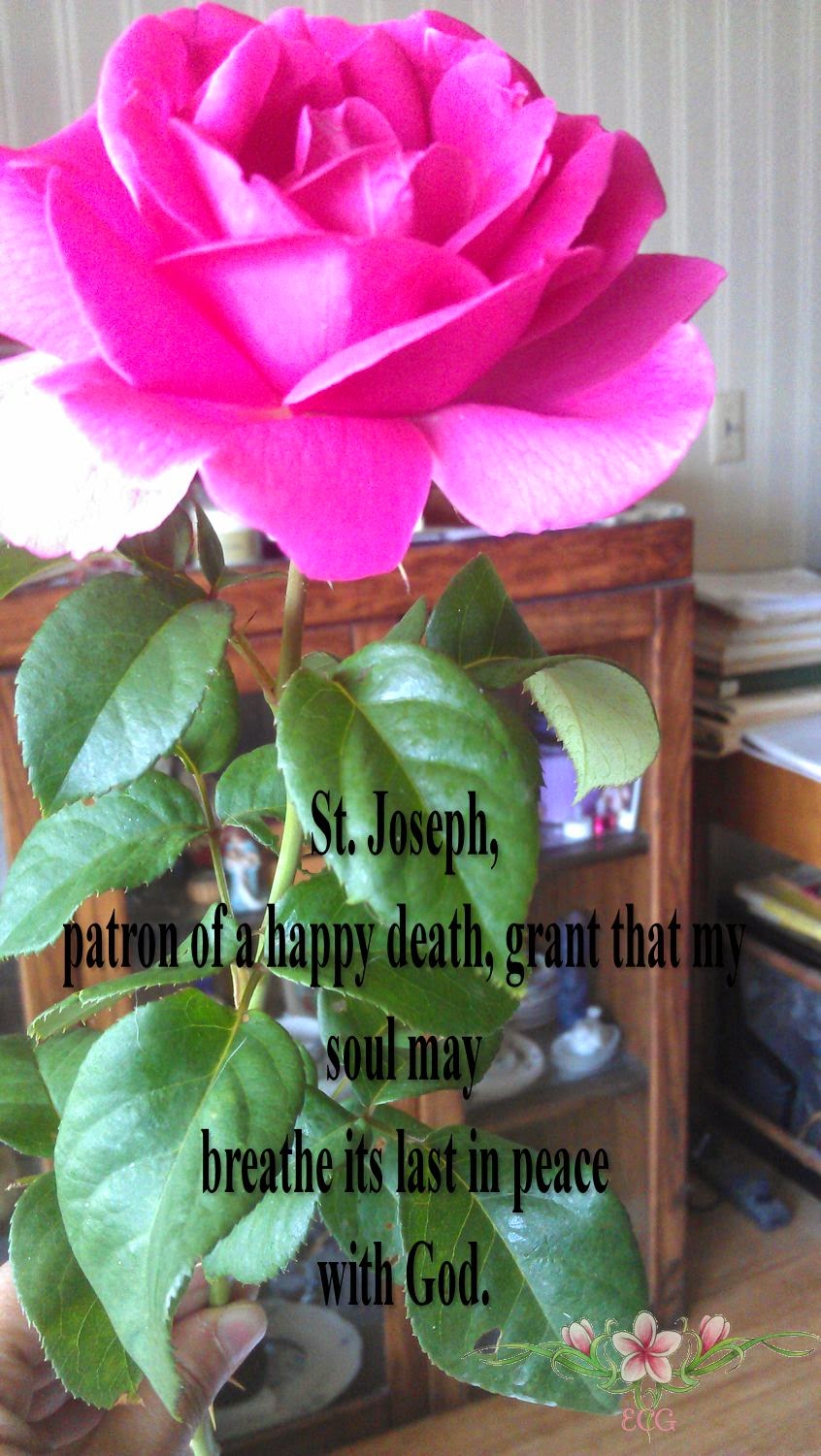 A Catholic Mom in Hawaii: Prayer for a Happy Death