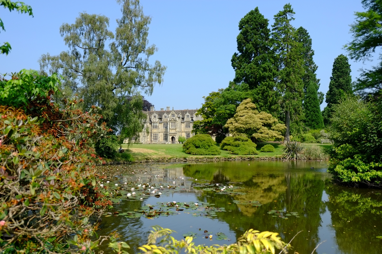 Tricia's Tales: Wakehurst Gardens... it was hot!!