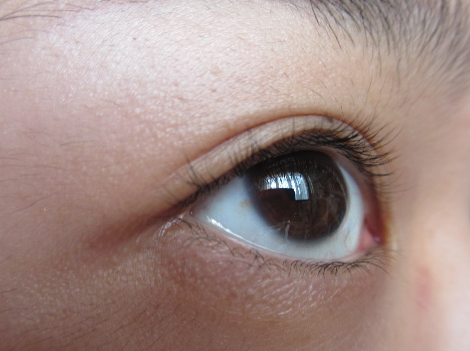 The Blackmentos Beauty Box: Rave Review: Maybelline The False Lash ...