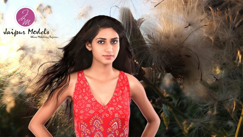 Modelling with Jaipur Models: 2014