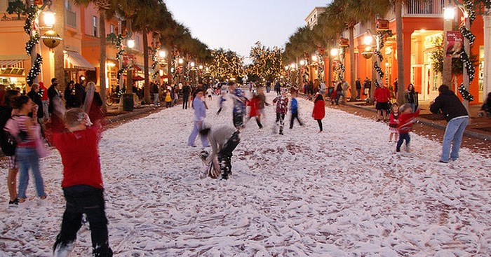 FreeSenseNews: 7 UNFORGETTABLE AMAZING HOLIDAY THINGS TO DO IN FLORIDA
