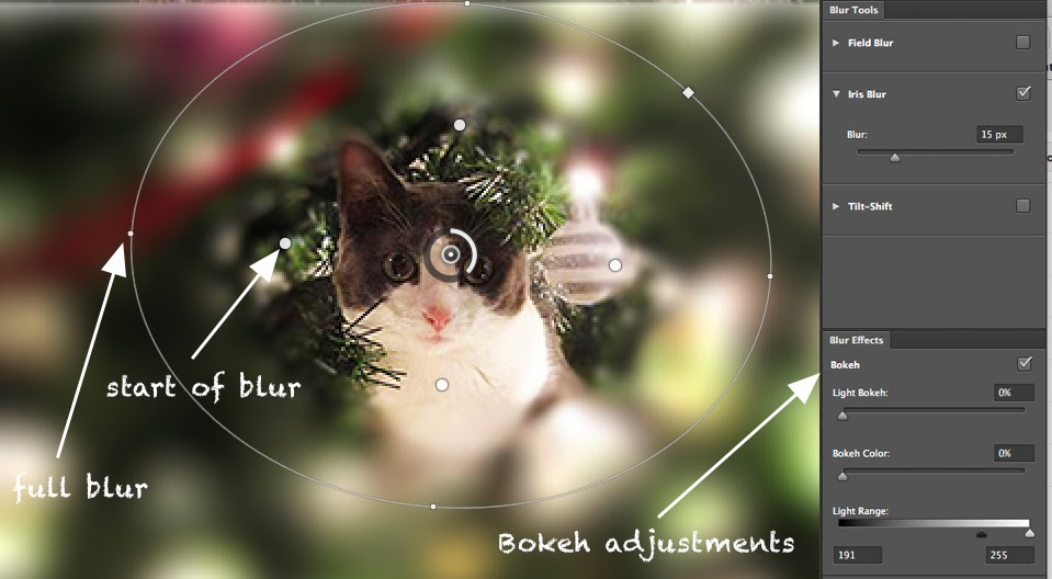 Leona's Photoshop Blog Spot: Iris Blur - Creating a shallow depth of field