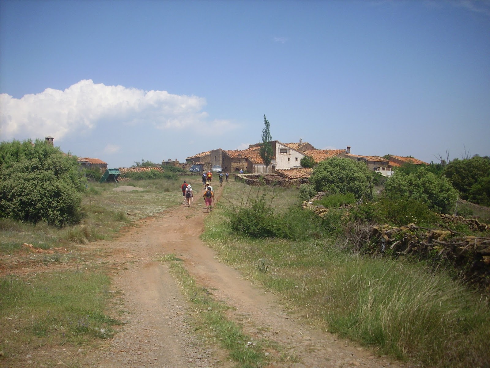 goterris: COSTUR - MAS DE LA LLOMA