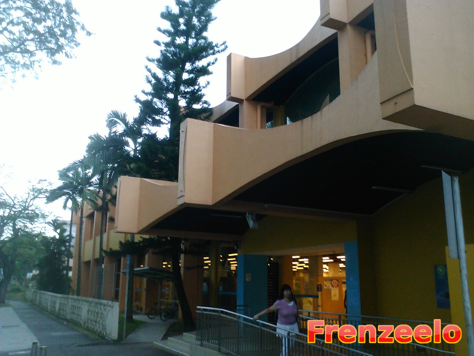 Frenzeelo: Nostalgia at Queenstown Library and Queenstown Bowl