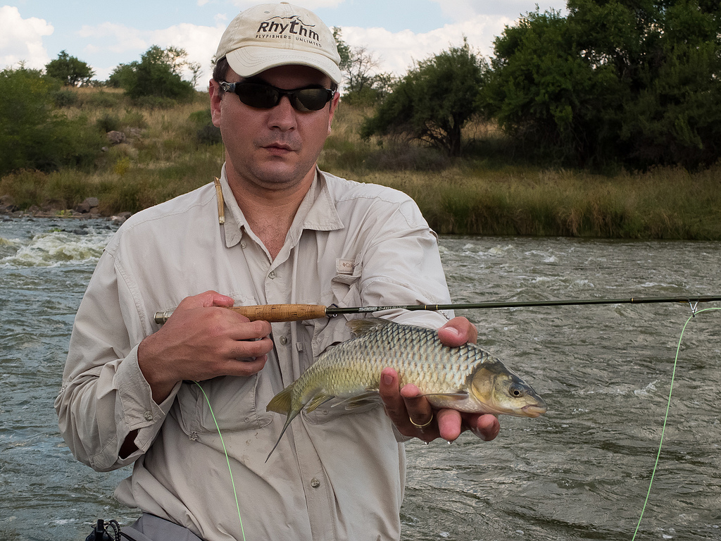 Photofisherman's Place: Yellowfish, Vaal River