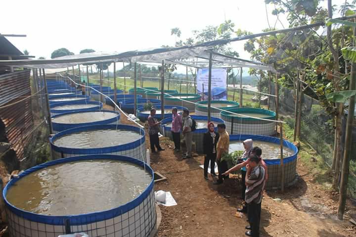 Kolam Terpal | Budidaya Ikan Lele | Ternak Lele Bioflok | Jual Kolam ...