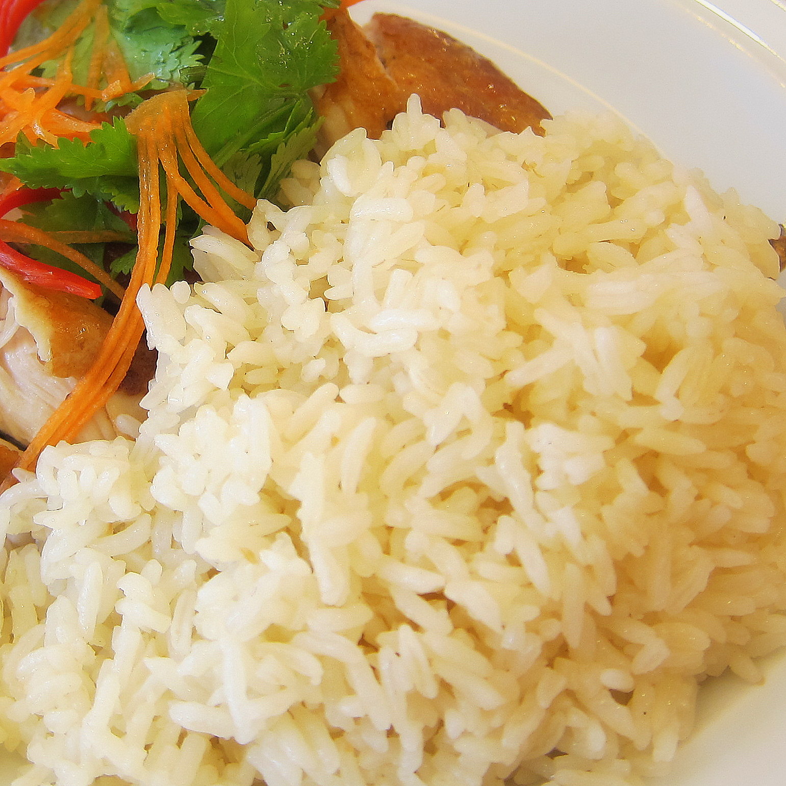 Hotel Tropical Inn Café Downtown Chicken Rice Buffet in Johor Bahru ...