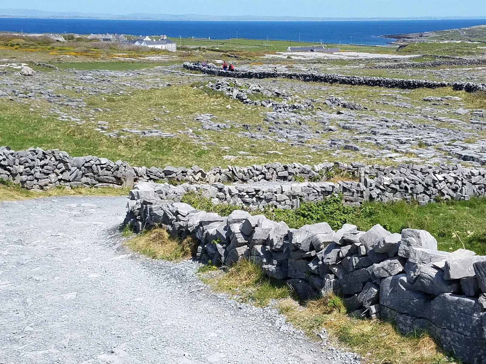 My Vintage Journeys: STONE FENCES & WALLS OF IRELAND