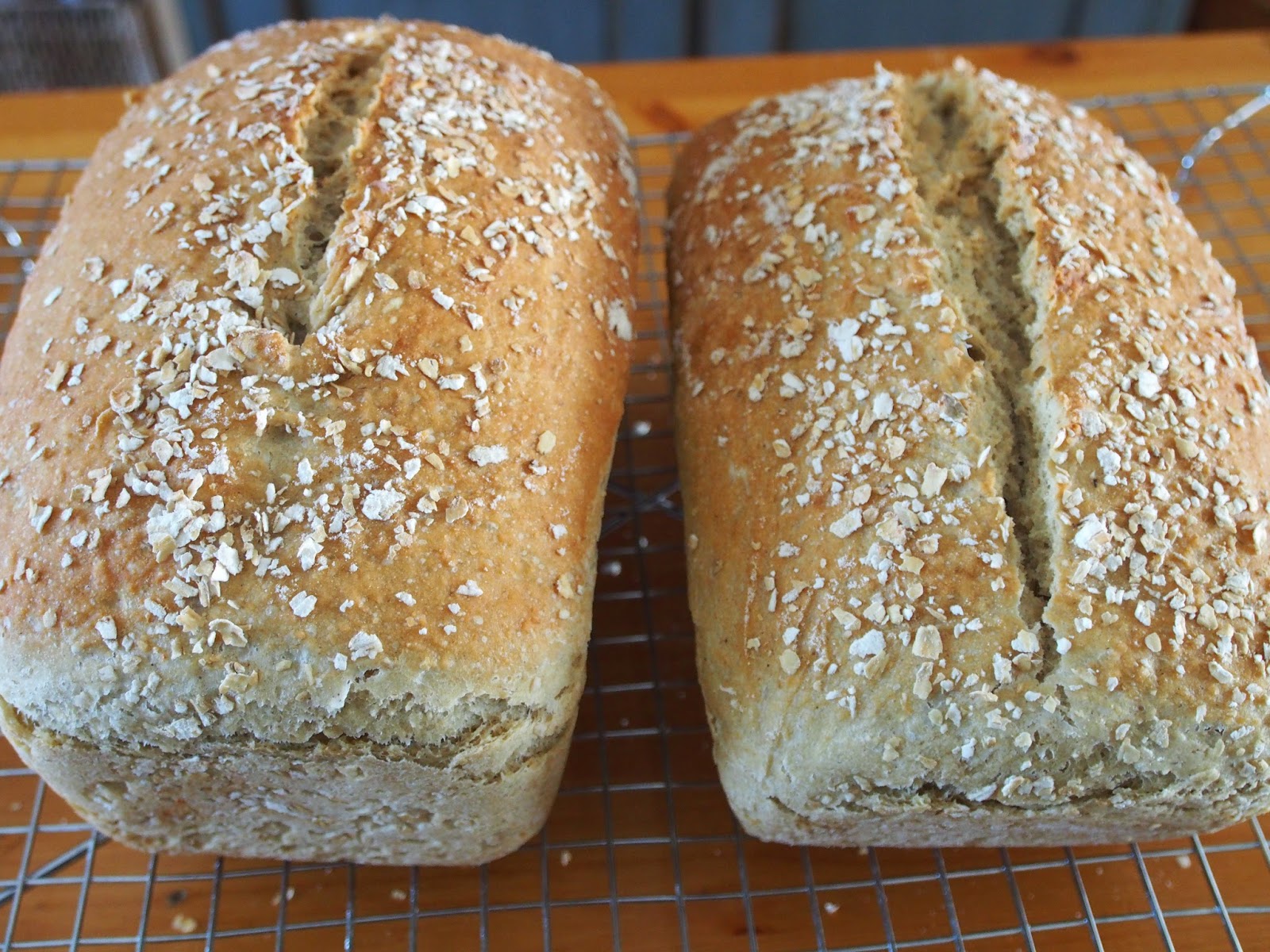 Our Island Home: Feeding Our Families: Some Staples