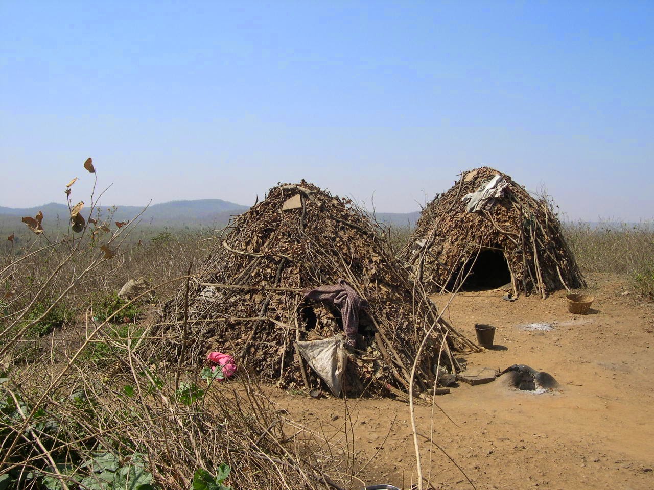 Gustav Imam: Birhor Tribe