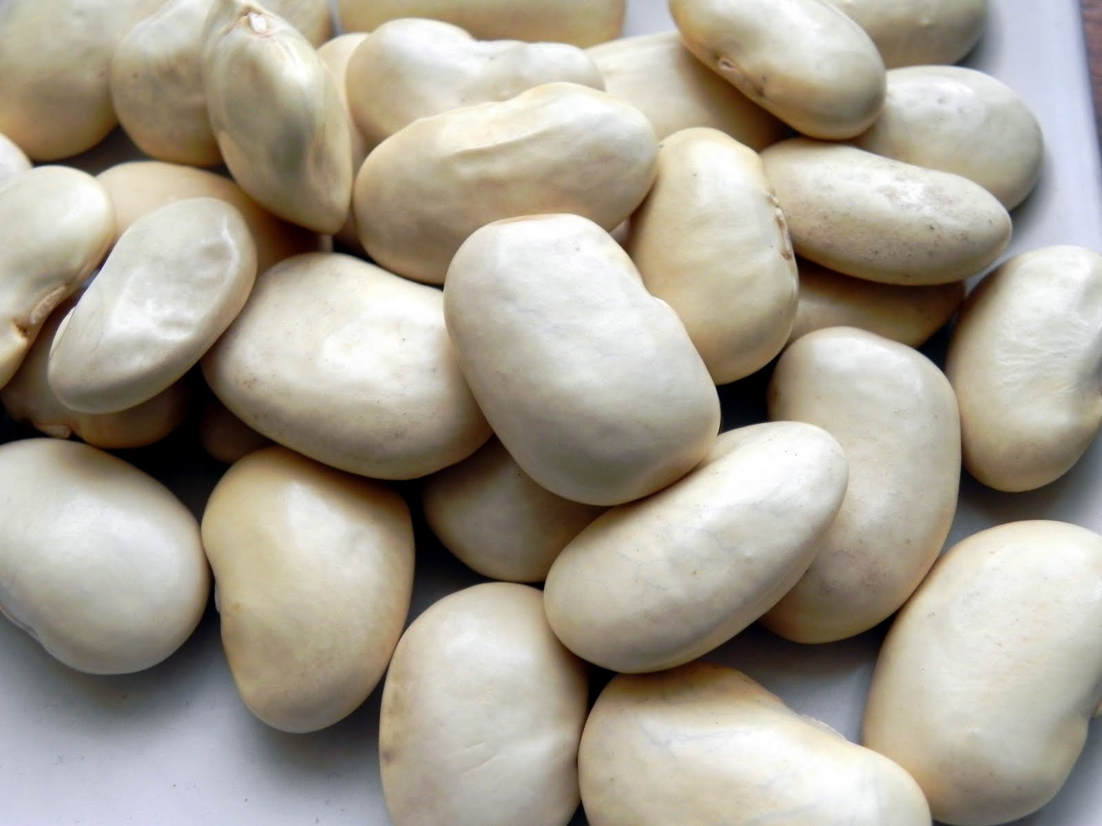 Bienvenido "A Rañada": Habones de Sanabria