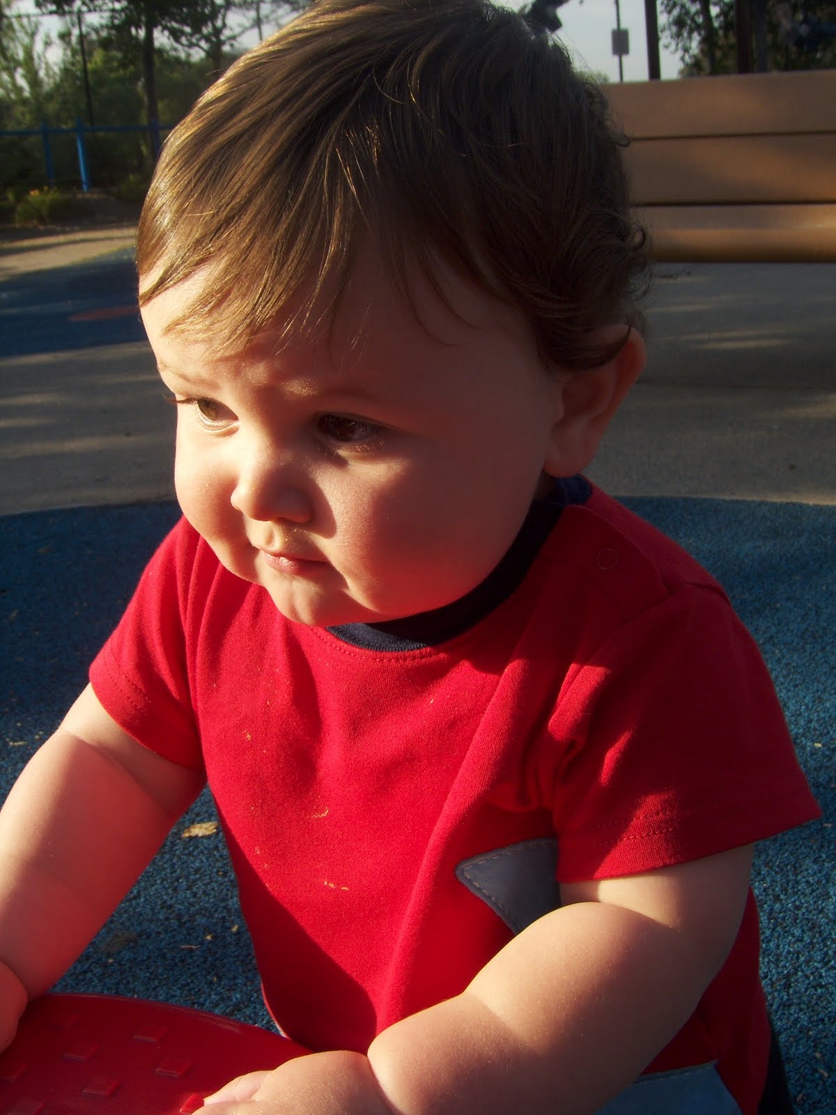 Welcome to the Reed Ranch!: Brayden's Day at the Park!
