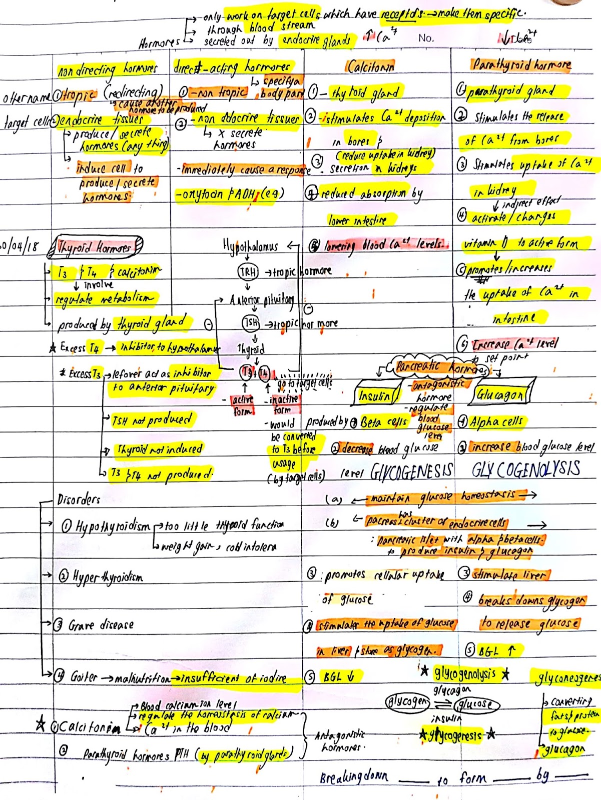 MUFY Biology Semester 1 Notes (RAW)