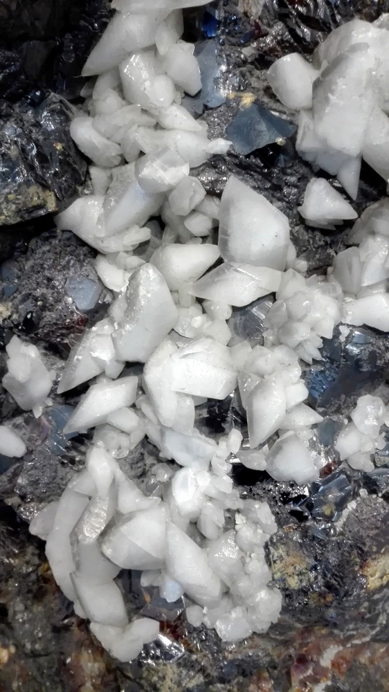 Colección Pfersich Merki, Torrelavega, Cantabria MTI Blog