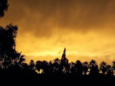 rapincel: diciembre 2013