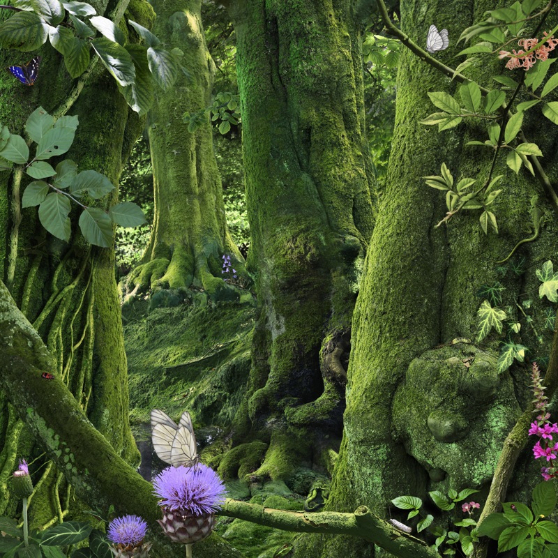 Art Splash: Ruud van Empel - Photoworks 1995-2010 - Groninger Museum ...