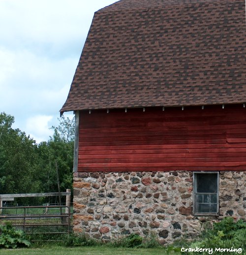 Cranberry Morning: Wisconsin Barn in July