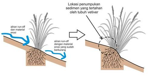 geografriku: pengertian erosi dan konservasi tanah