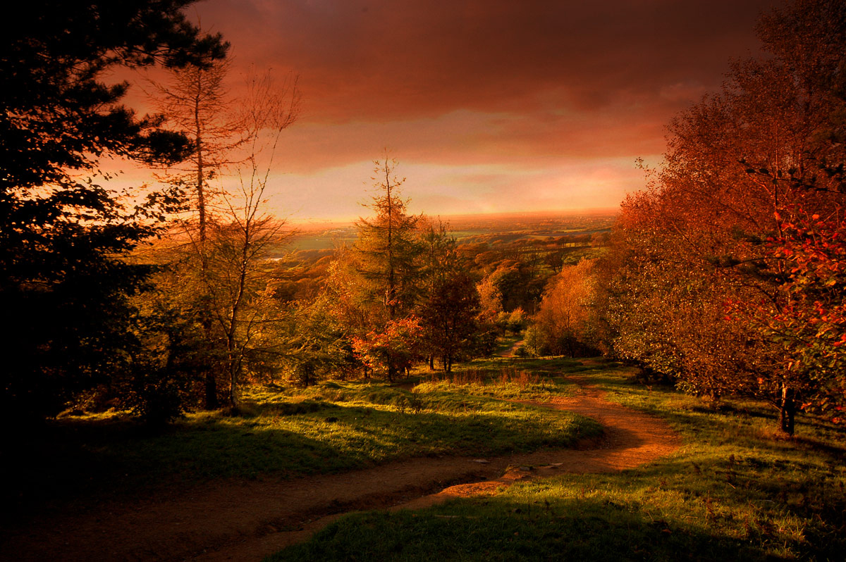 Autumn Afternoon ~ Autumn Crafts Picture