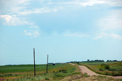 Yukon Rambles: Twisted Roots - Mather, Manitoba