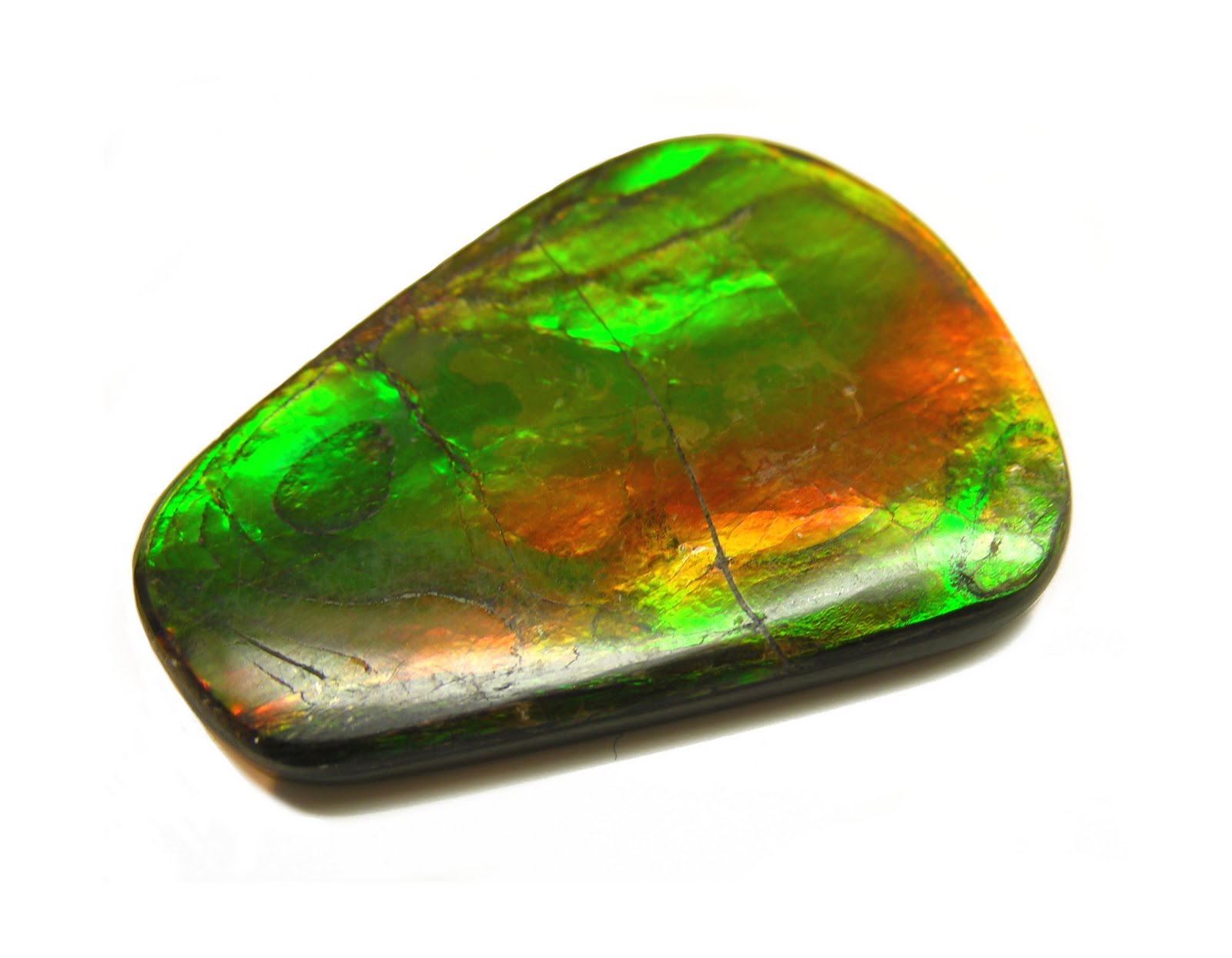 18Karat Studio + Gallery: Ammolite Amulets