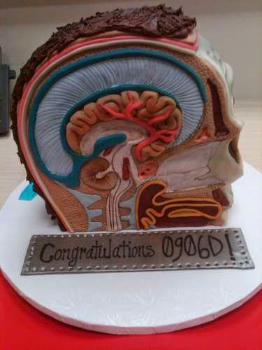 Deformutilation: Anatomical Cakes