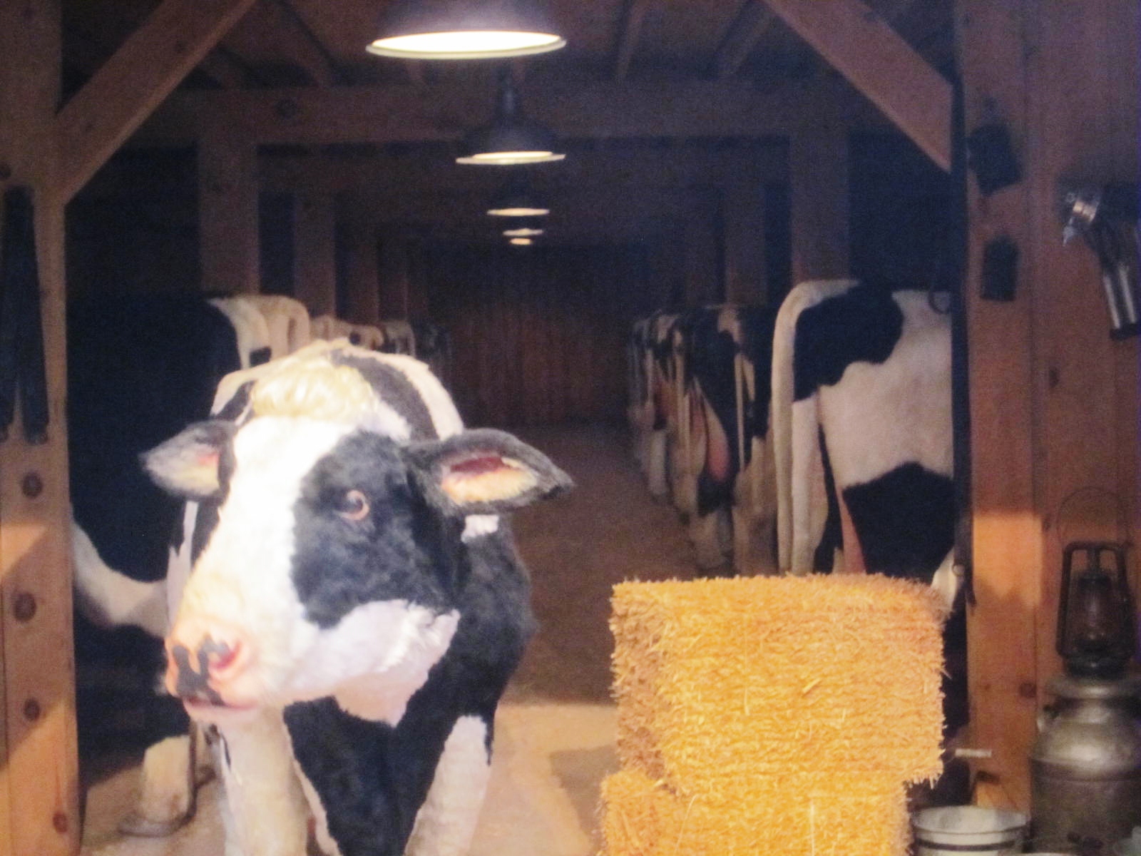 My Enchanted Home: My Visit to the Billy Graham Library