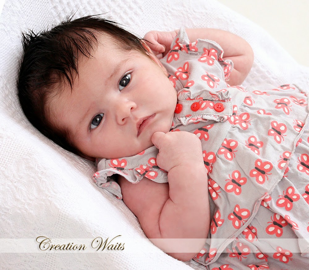 Creation Waits Photography: Three Week Old Baby Girl