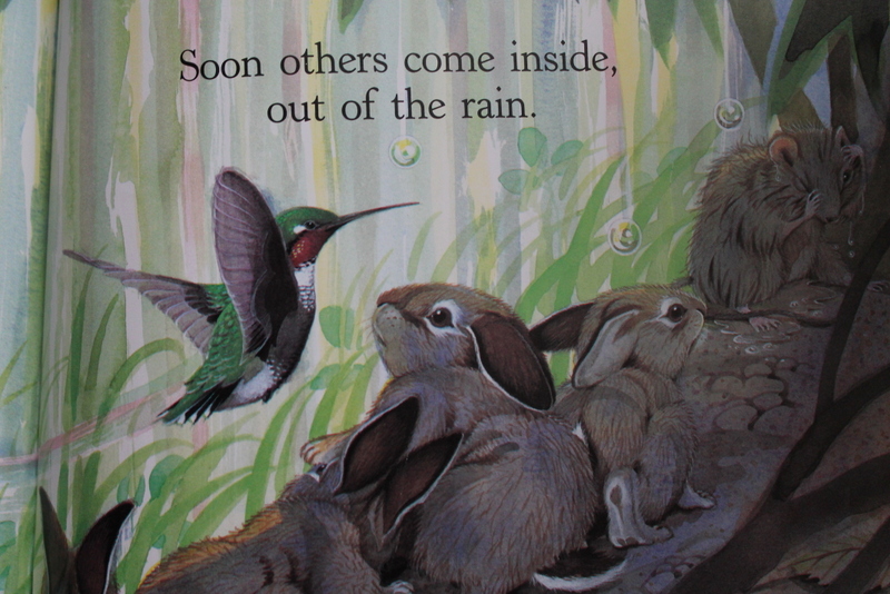 Books and Umbrellas: Rabbits & Raindrops by Jim Arnosky