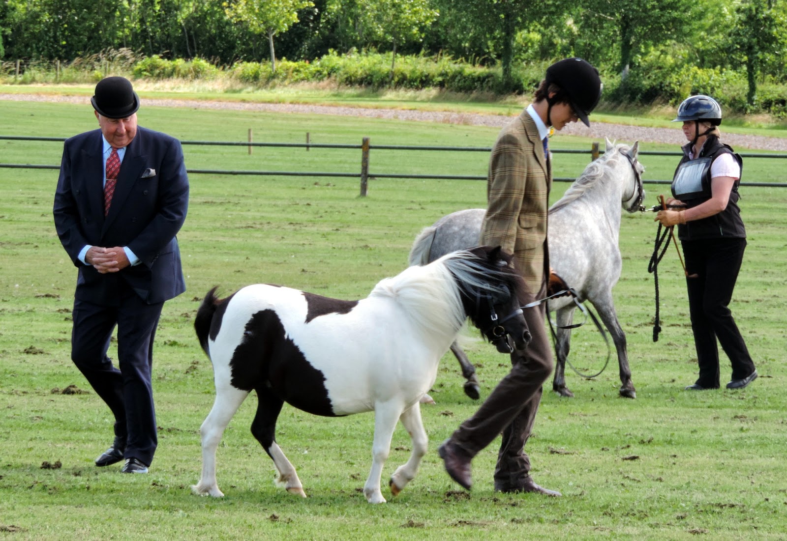 The Glebe Blog: Bladnoch Social Sunday - The Horse Show - July 2014