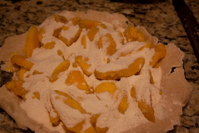 A Part of the Whole: Mango Pie
